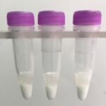 Skin Tissue Homogenizer & Homogenization Protocol