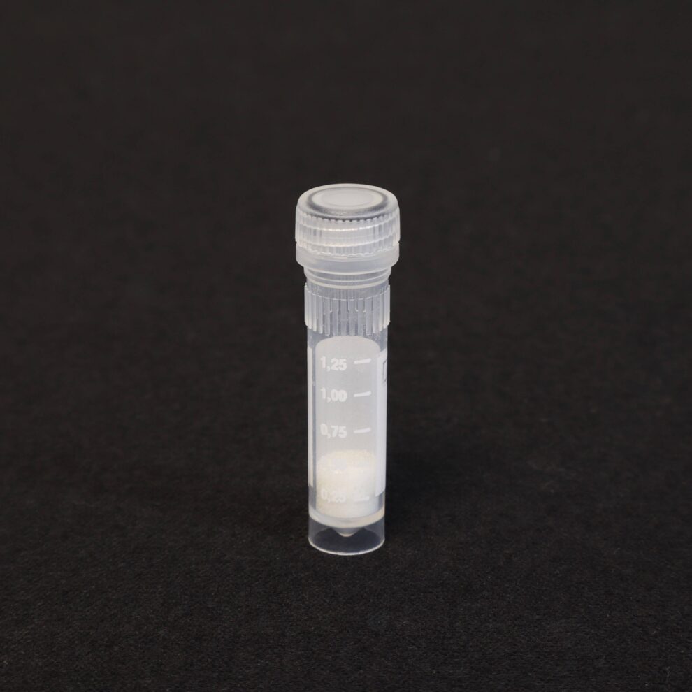 Lysing beads kits for tough microorganisms